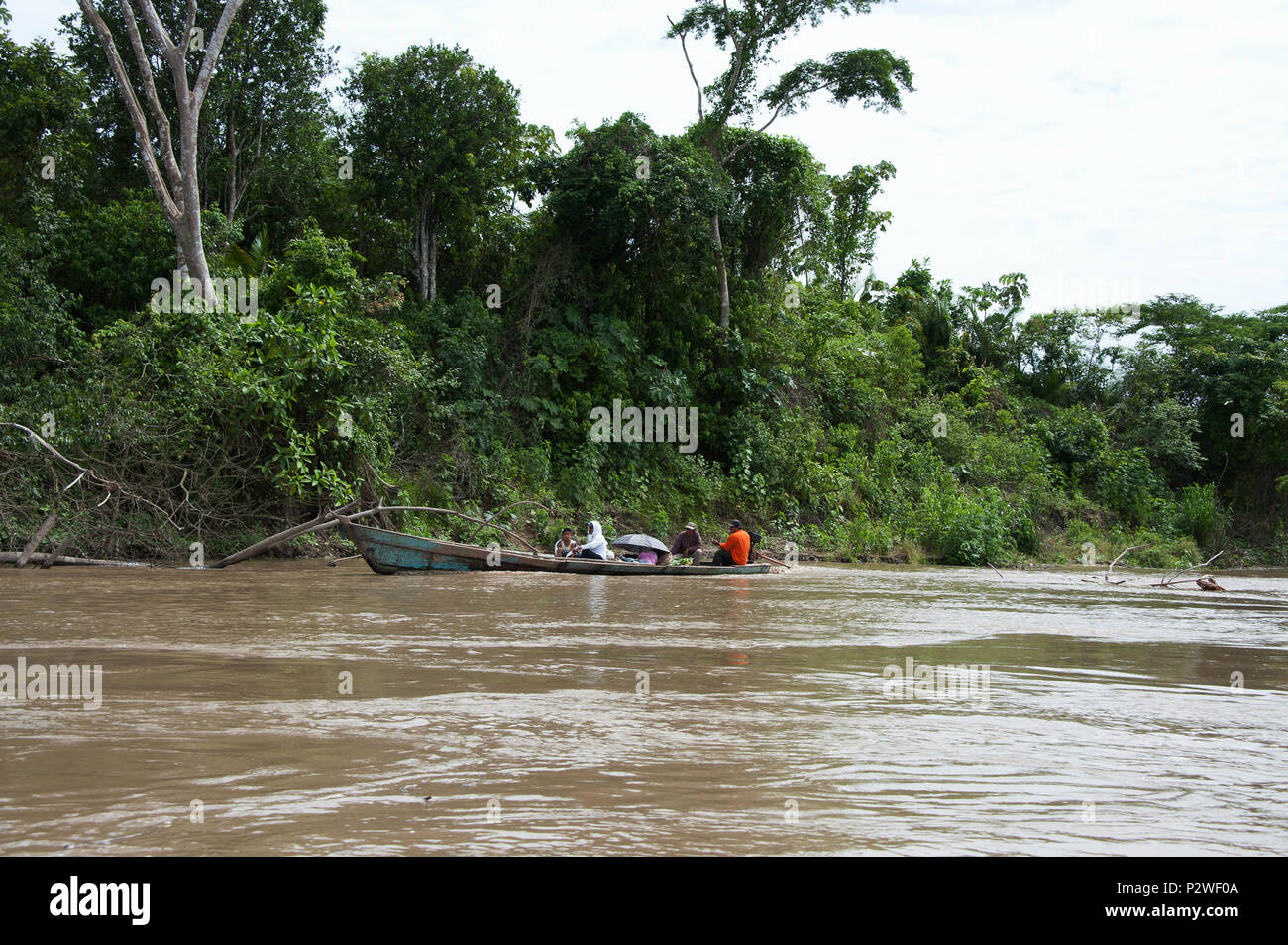 Working villagers travel along the amazon river in long boats and ...