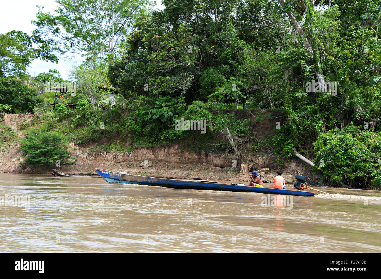 Working villagers travel along the amazon river in long boats and ...