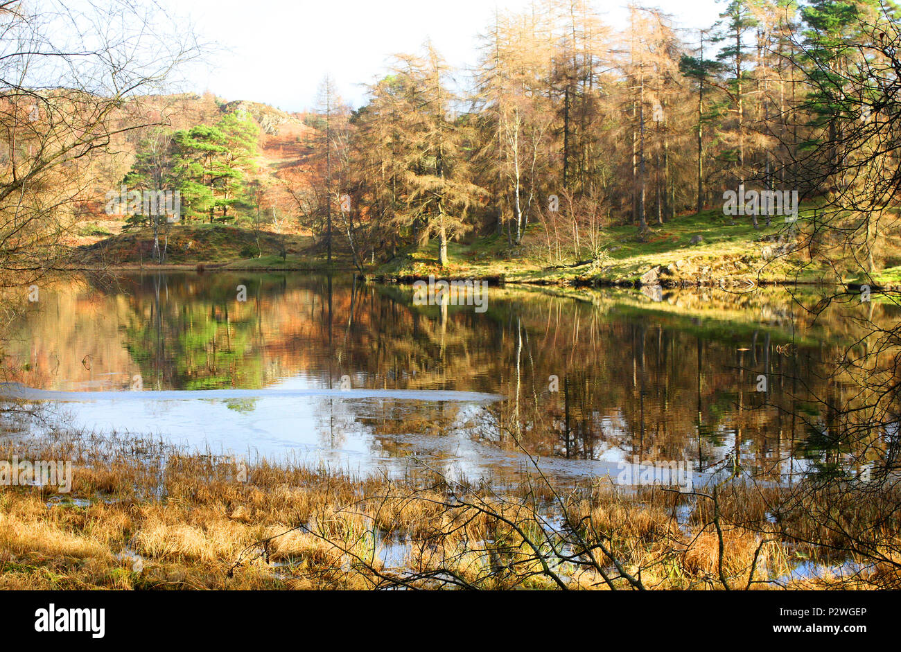 Traditional views of English Lake District Stock Photo - Alamy