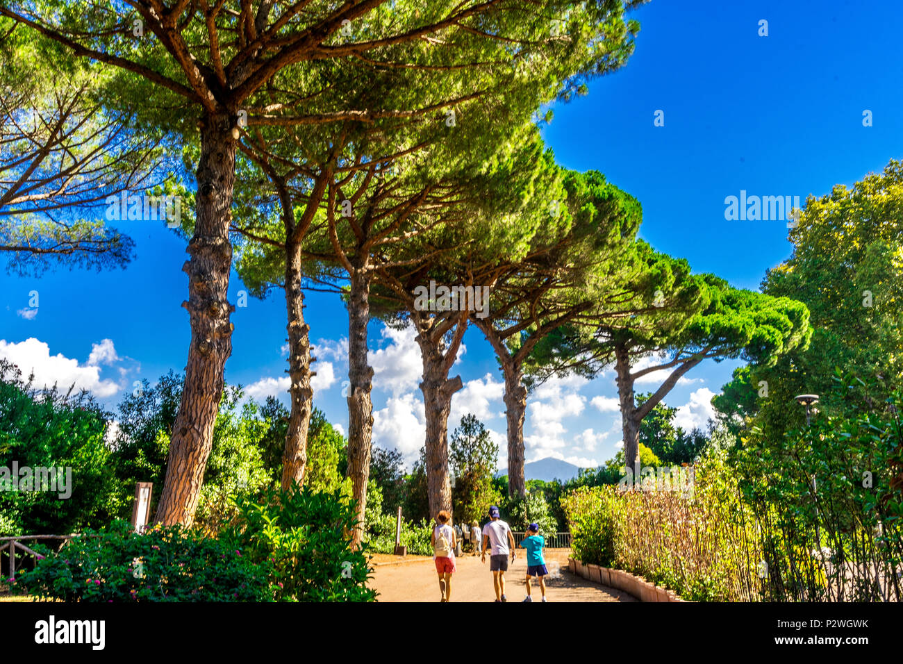 Pompeii was an ancient Roman city near modern Naples was buried under ...