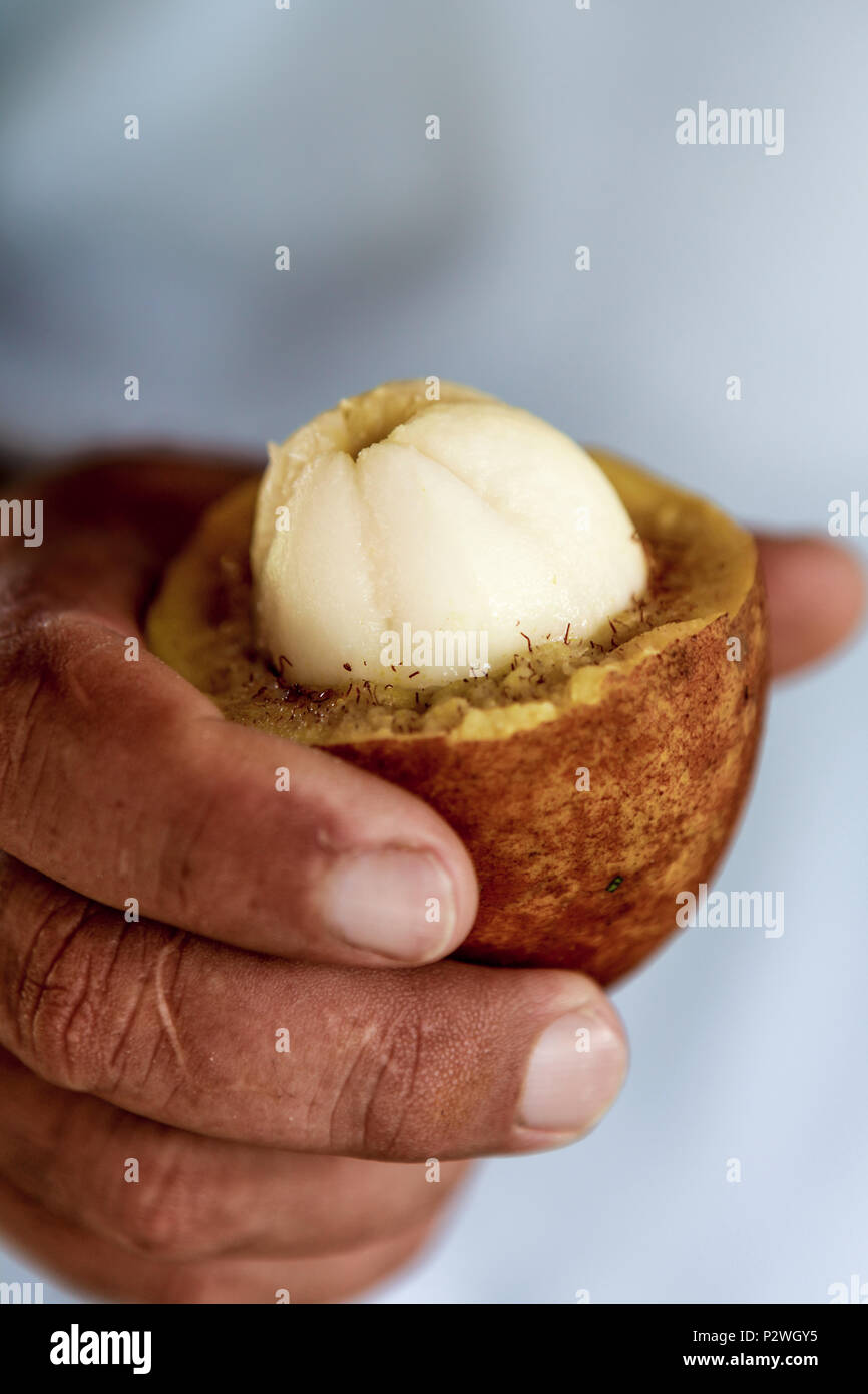 Cupuacu hi-res stock photography and images - Alamy