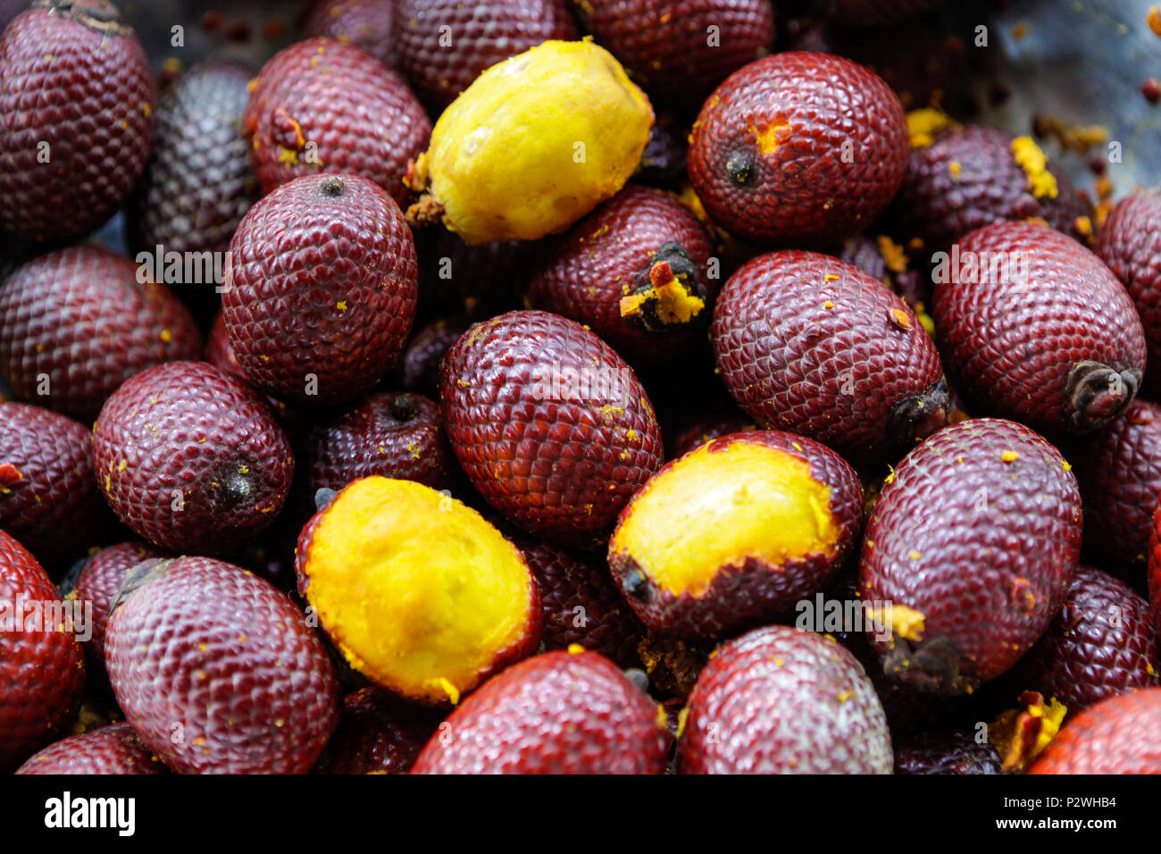 Buriti hi-res stock photography and images - Alamy