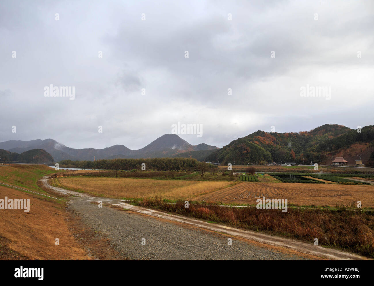 Japanese plains hi-res stock photography and images - Alamy