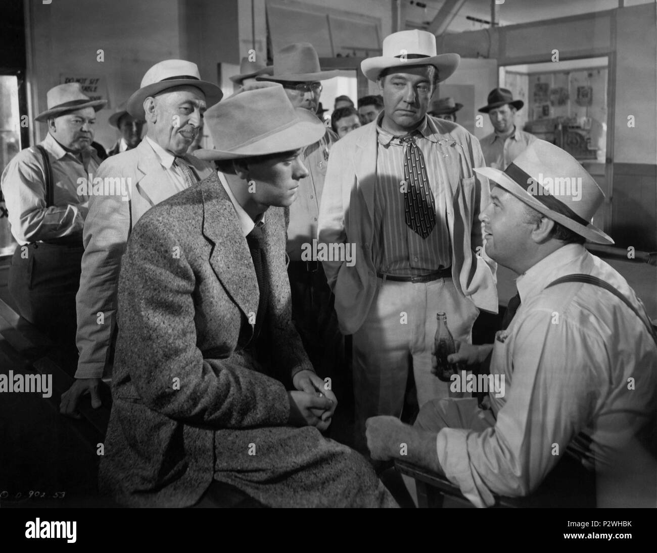 Original Film Title: ALL THE KING'S MEN. English Title: ALL THE KING'S ...