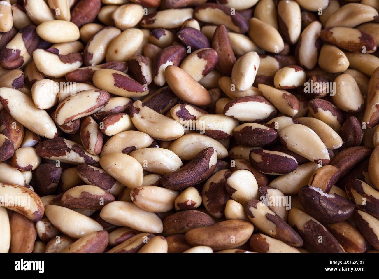 Brazilian nut hi-res stock photography and images - Alamy