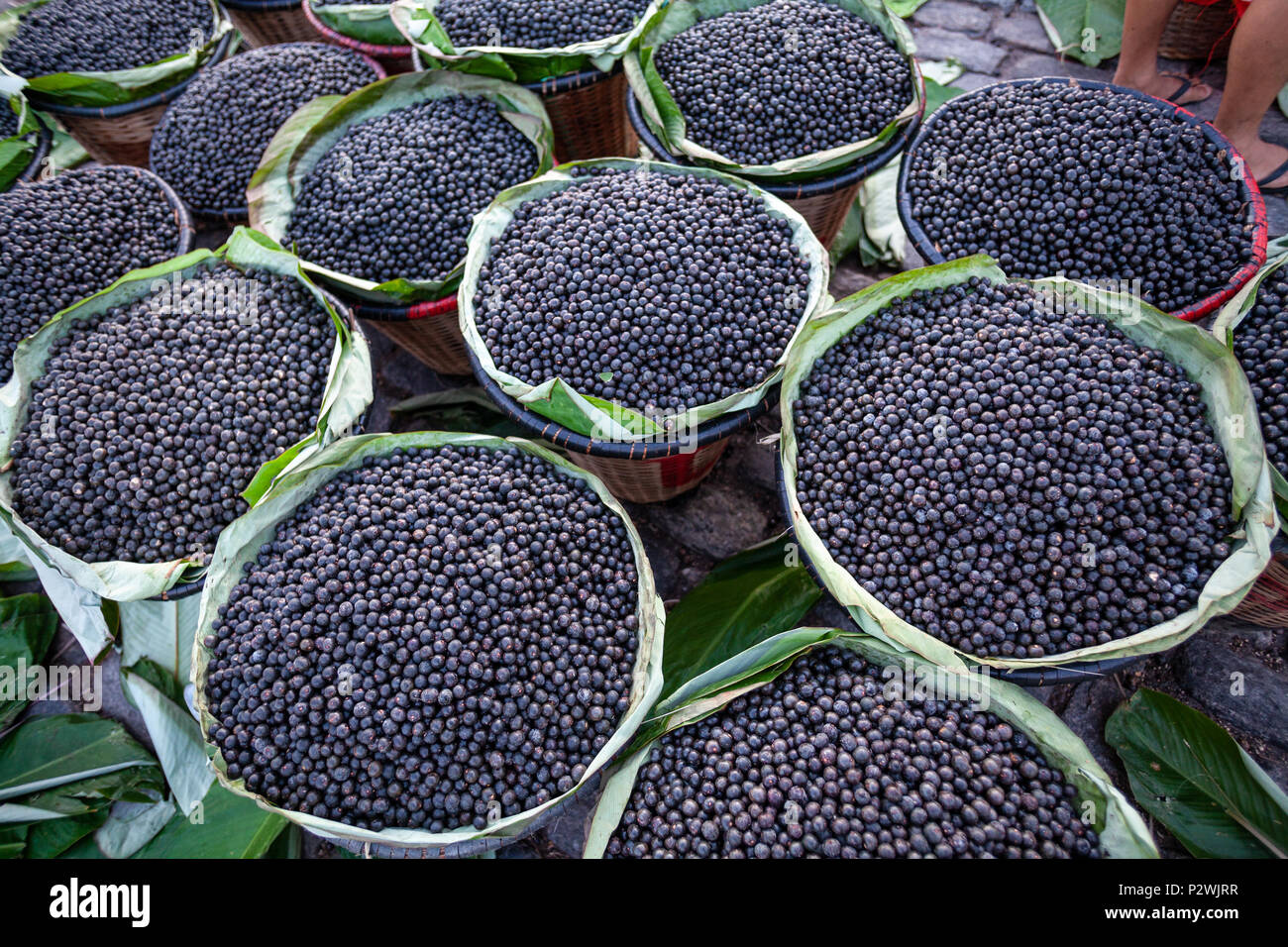 Straw basket full of fresh acai berries to sell at a fair in the city ...
