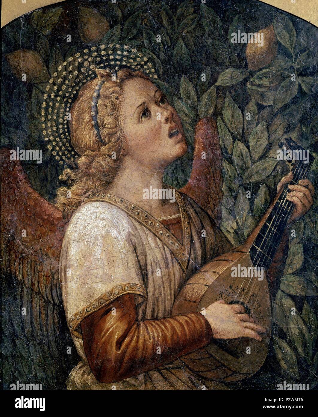 'Angel Musician', 15th century, Fresco, 63 x 52 cm, P02843. Author: Melozzo da Forlì (1438-1494 ...