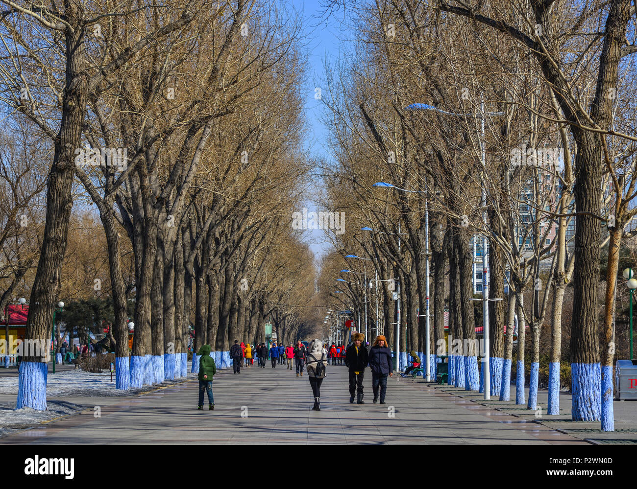 Harbin, China - Feb 22, 2018. People on walking street in Harbin, China ...