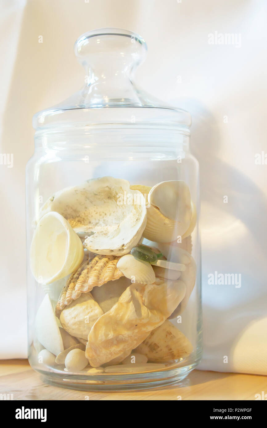 Collection of shells hi-res stock photography and images - Alamy