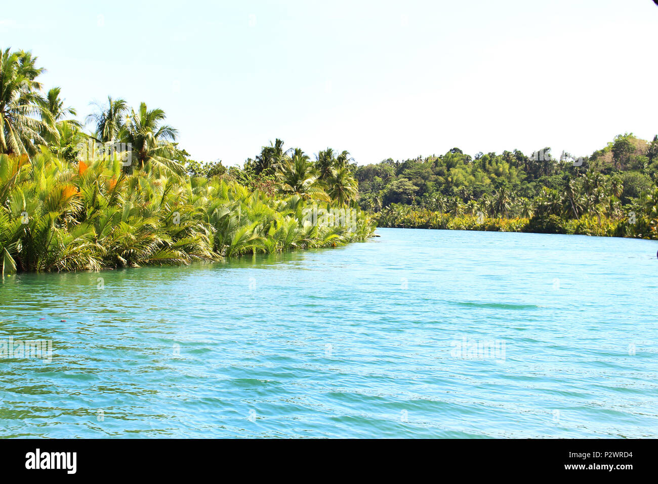Panglao Lake, Bohol Island, Philippines Stock Photo - Alamy
