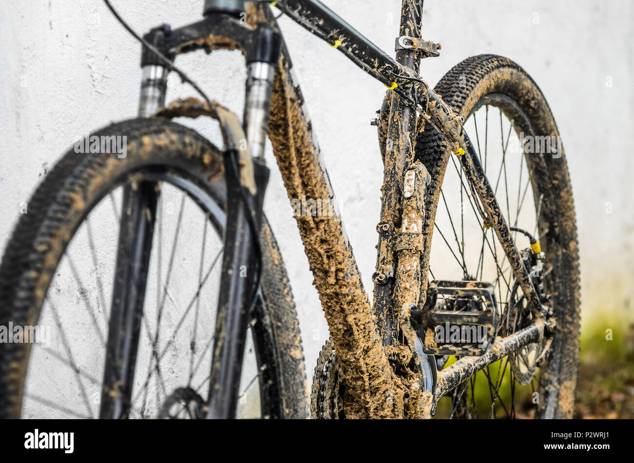 Dirty Bicycle Suspension Fork After Riding in Bad Weather. Dirt and Oil ...