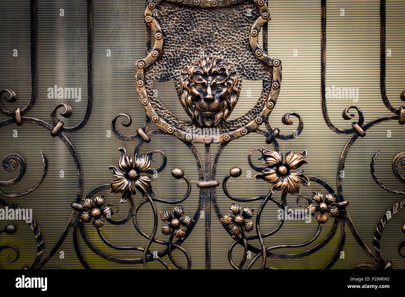 Details, structure and ornaments of forged iron gate. Decorative ...