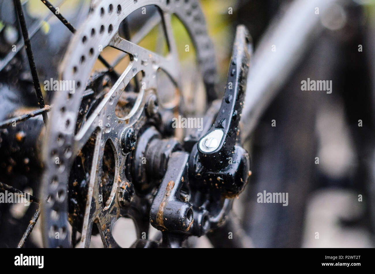 Mount the Rear Wheel of a Mountain Bike Close-Up. QR 9 mm Axis Standard ...