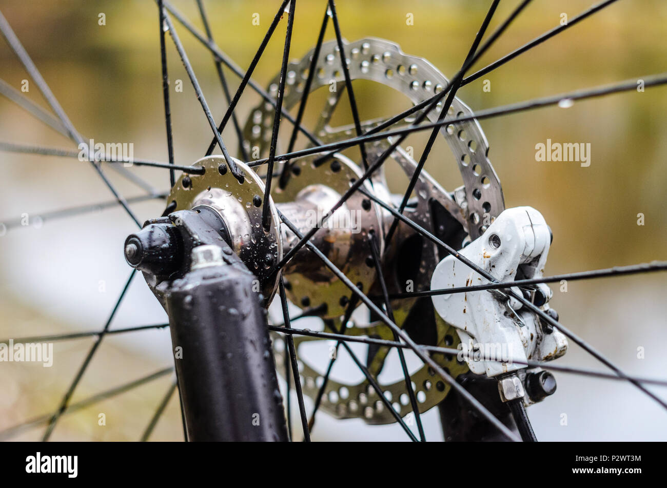 Front Hub of a Mountain Bike Close-Up. Bicycle Disc Brake Rotor Stock ...