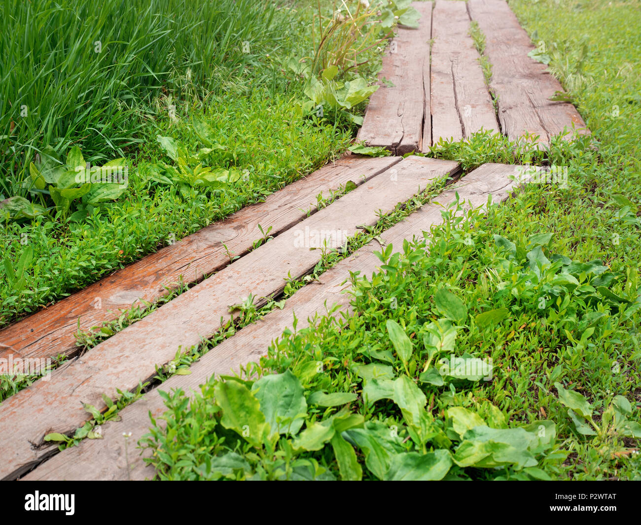 Woodenroad hi-res stock photography and images - Alamy