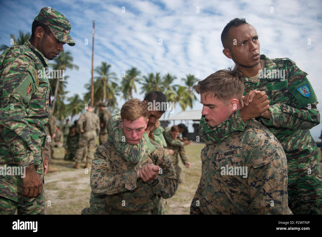 Forsa Defesa Timor-Leste (F-FDTL) service members practice Marine Corps ...