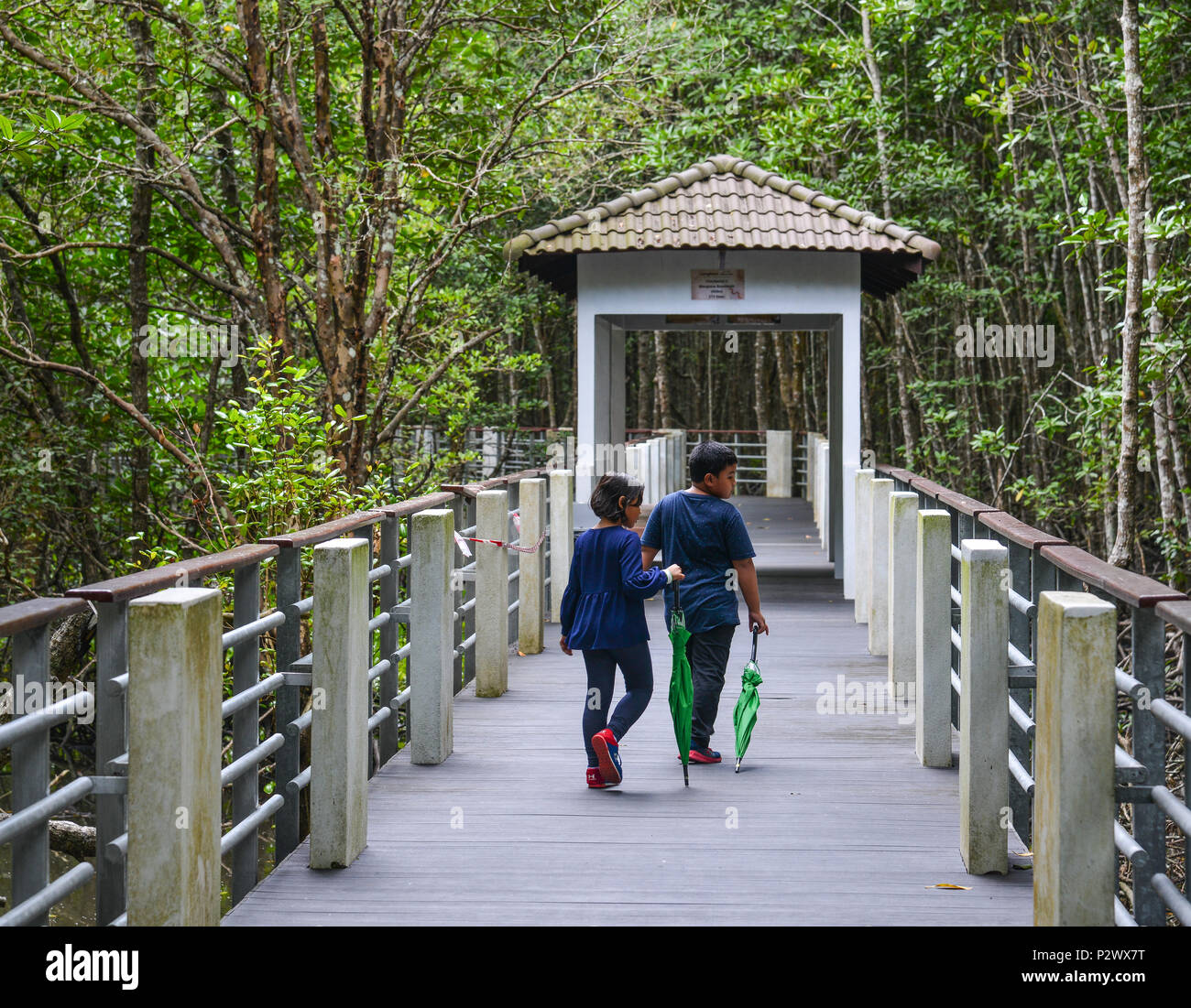 Langkawi, Malaysia - May 1, 2018. Walking trail through the thick ...