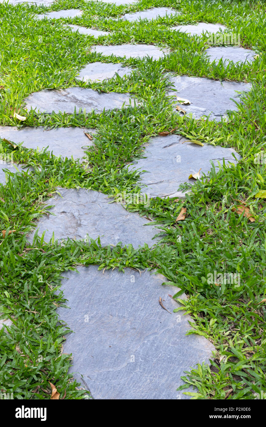 Big stone walkway on green grass in the garden Stock Photo - Alamy