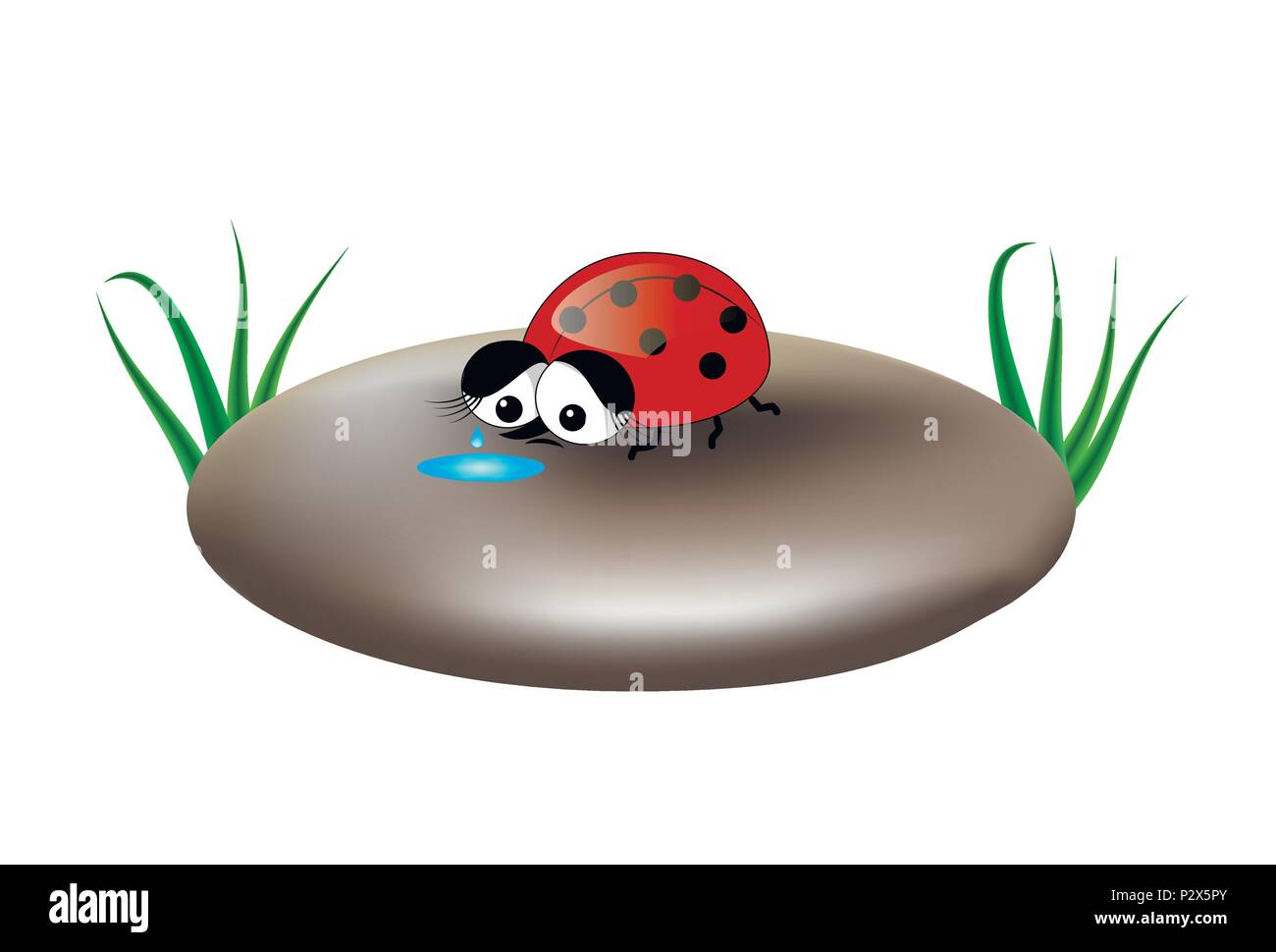 Sad ladybug on a stone, isolated on white background Stock Vector Image ...