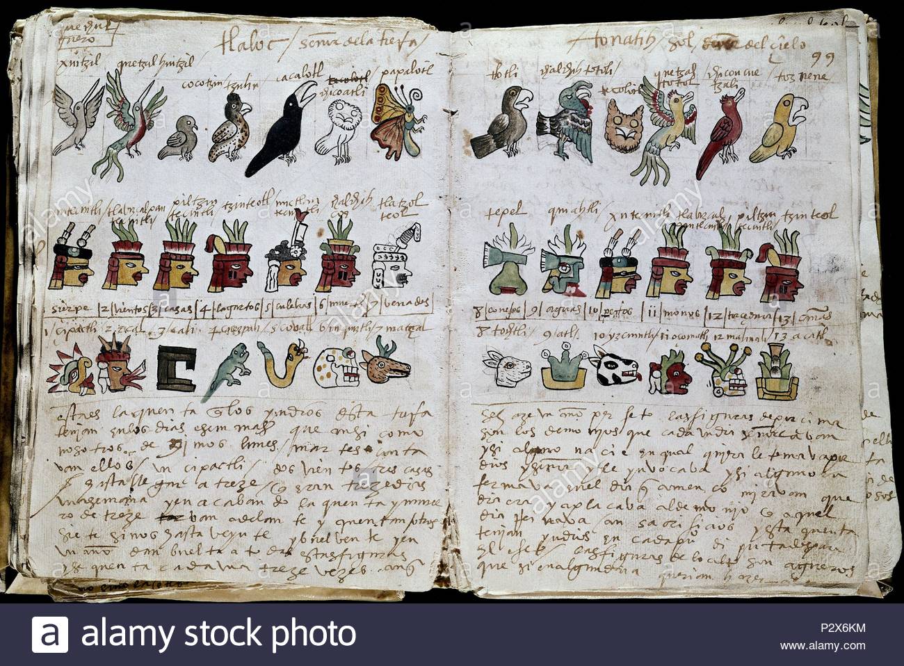 Aztec Codices Codex Stock Photos & Aztec Codices Codex Stock Images - Alamy