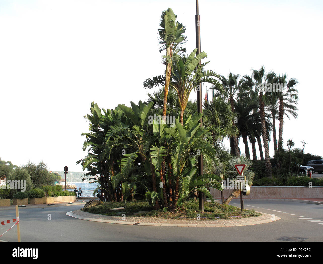 Tropical roundabout hi-res stock photography and images - Alamy