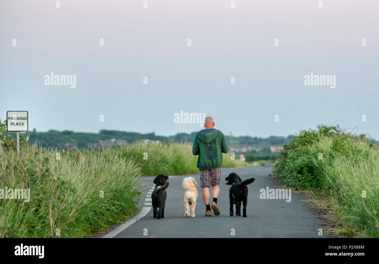 Man walking away back hi-res stock photography and images - Alamy