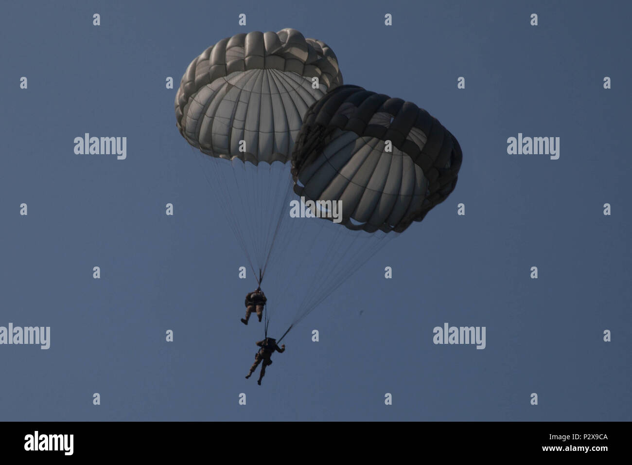 U.S. Army Paratroopers' parachutes become entangled while conducting ...