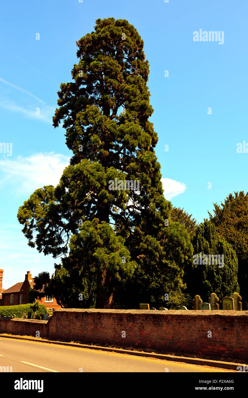 Burgh le marsh hi-res stock photography and images - Alamy