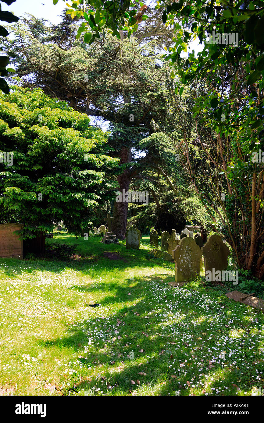 St. Peter's & St. Paul's Churchyard, Burgh le Marsh, Lincolnshire Stock ...