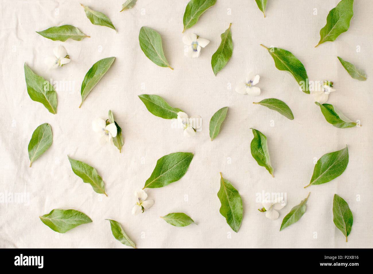 Flowers composition. Pattern made of green leaves and flowers on white ...