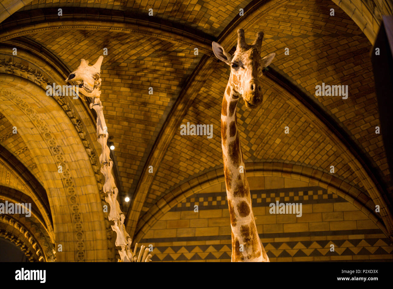 Architecture scan hi-res stock photography and images - Alamy