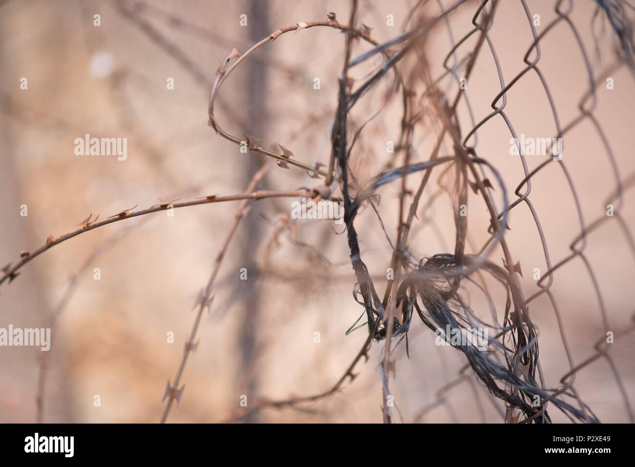 Tangled barbed wire hi-res stock photography and images - Alamy