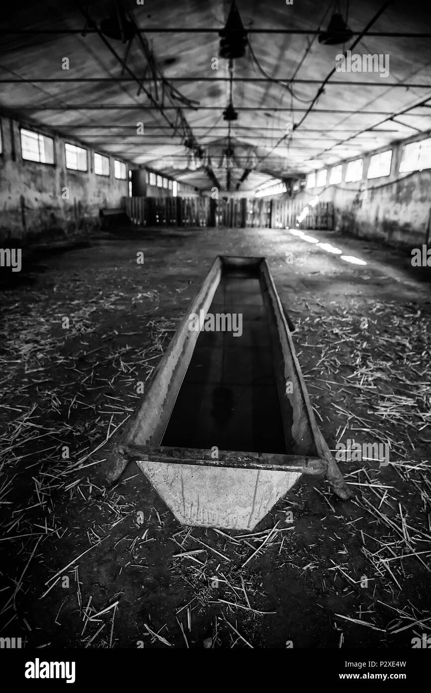 Old abandoned farm, detail of ruin and loneliness Stock Photo - Alamy