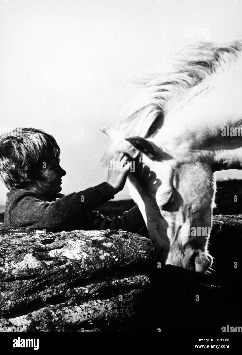 Original Film Title: RUN WILD, RUN FREE. English Title: RUN WILD, RUN ...