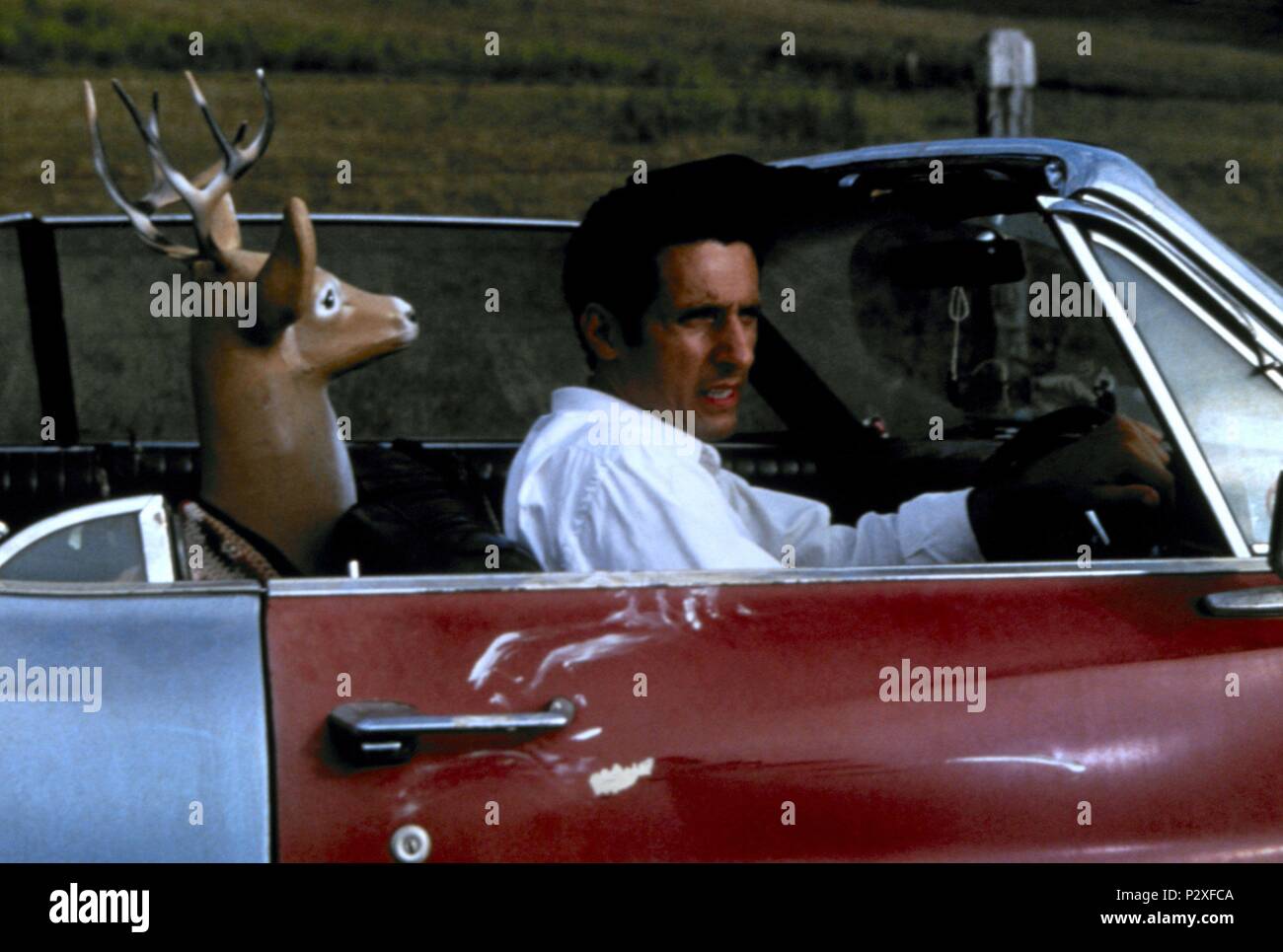 Dicillo hi-res stock photography and images - Alamy