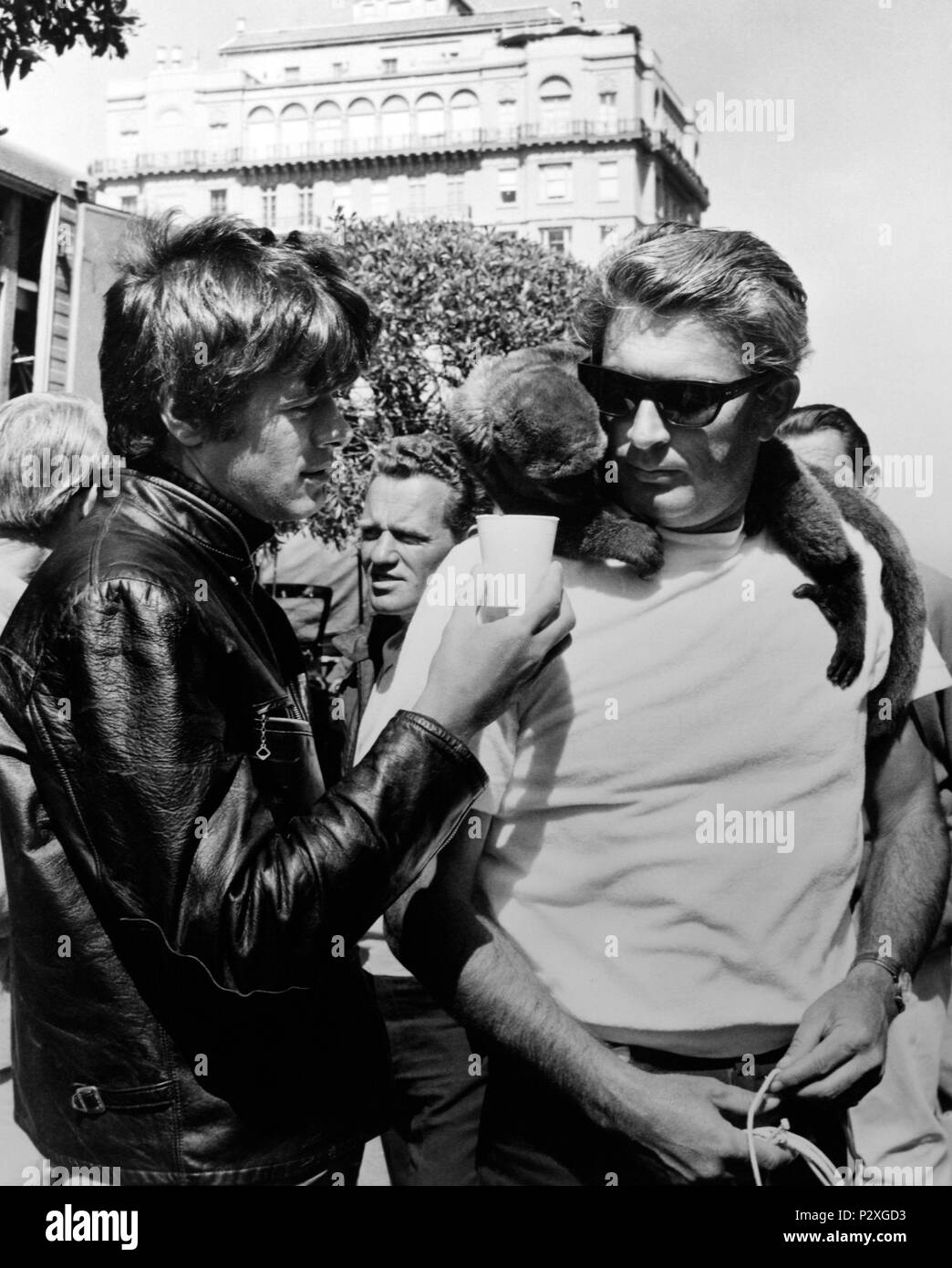 Cat film hi-res stock photography and images - Alamy