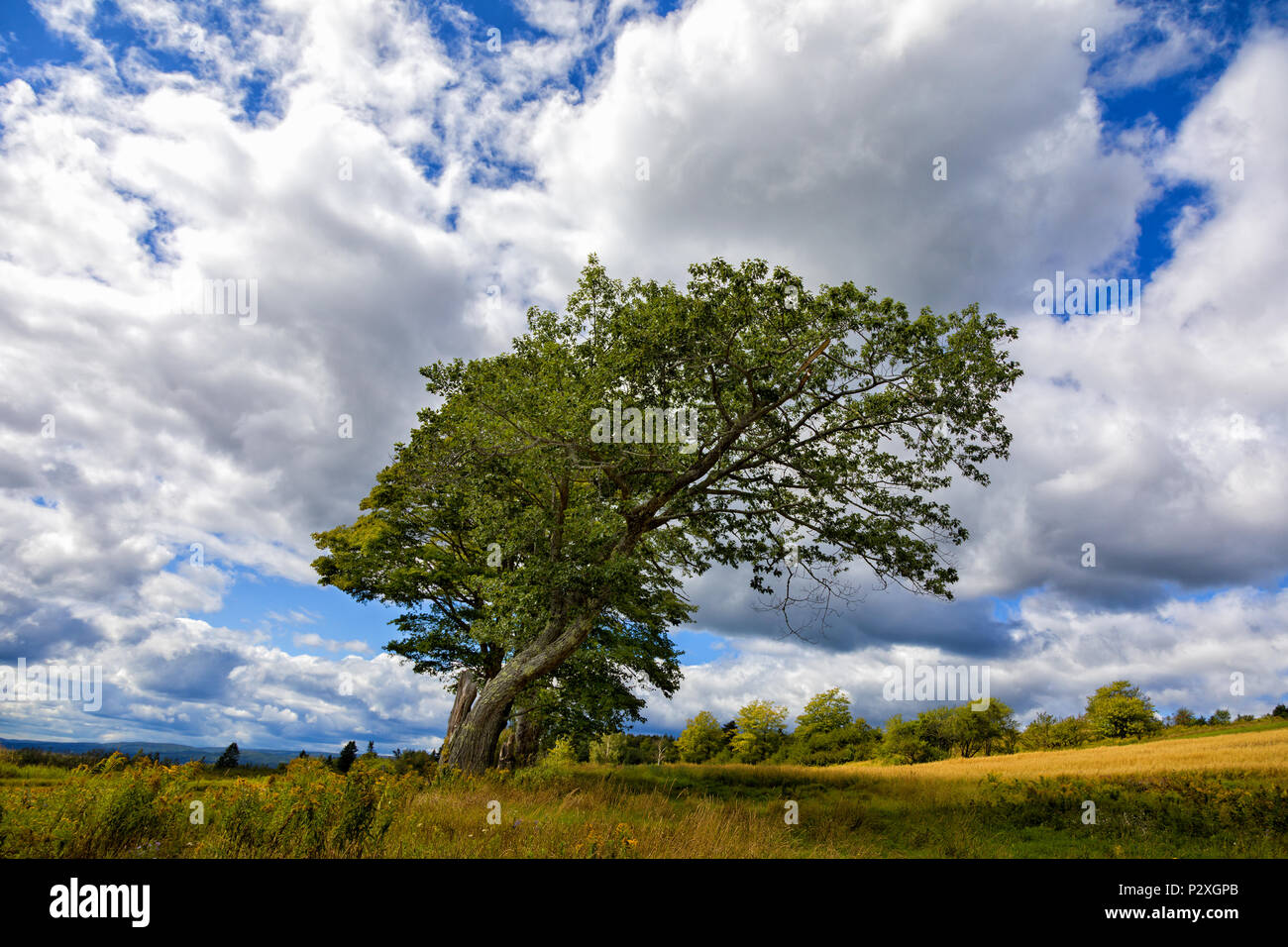Rural new brunswick hi-res stock photography and images - Alamy