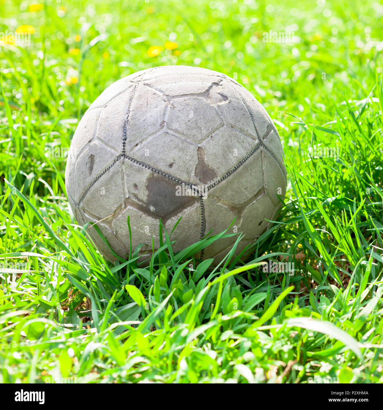 Old soccer ball forgotten in the green grass field. The football ...