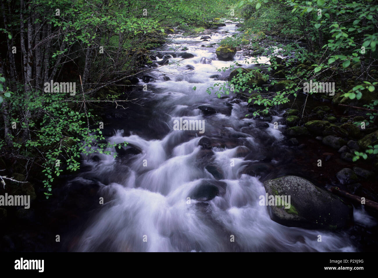 Mt herman trail hi-res stock photography and images - Alamy