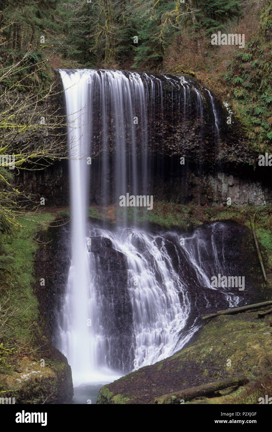 Middle North Falls, Silver Falls State Park, Oregon Stock Photo - Alamy