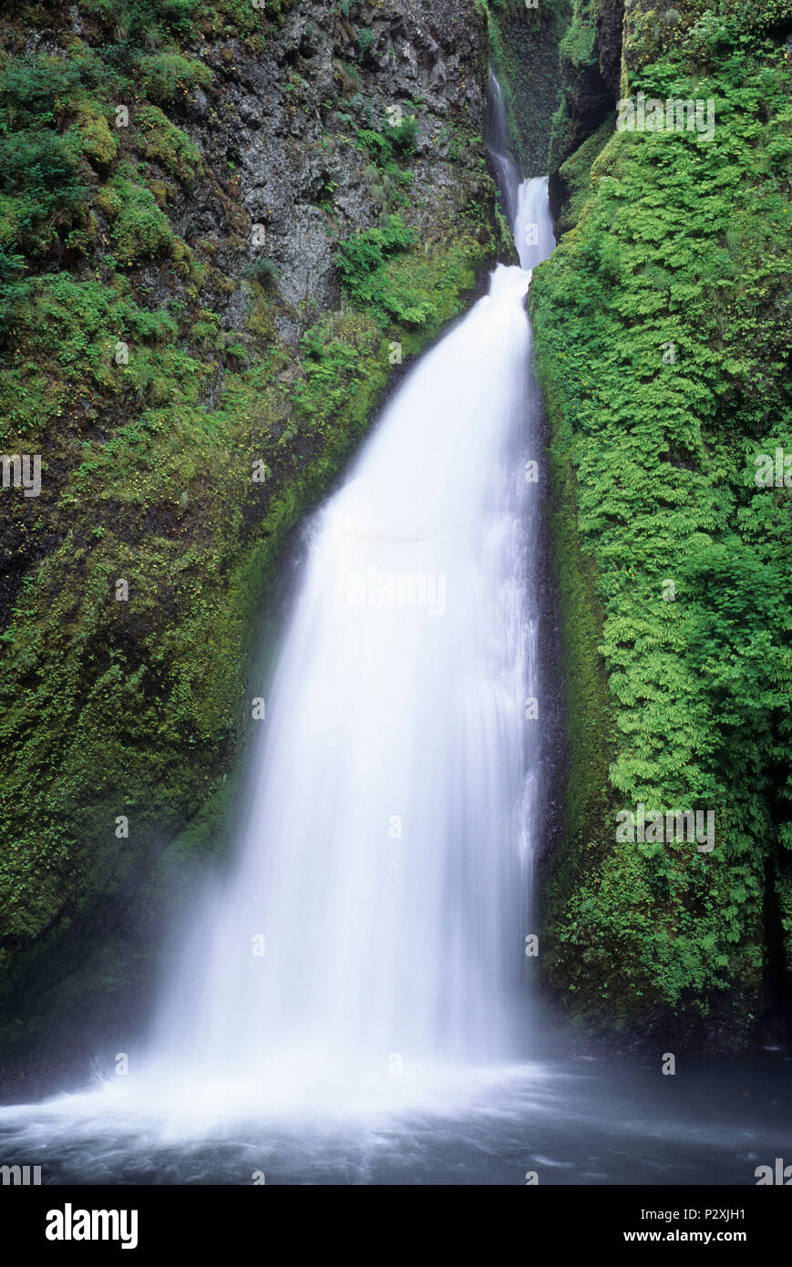 Wahclella Falls, Mt Hood National Forest, Columbia River Gorge National Scenic Area, Oregon ...
