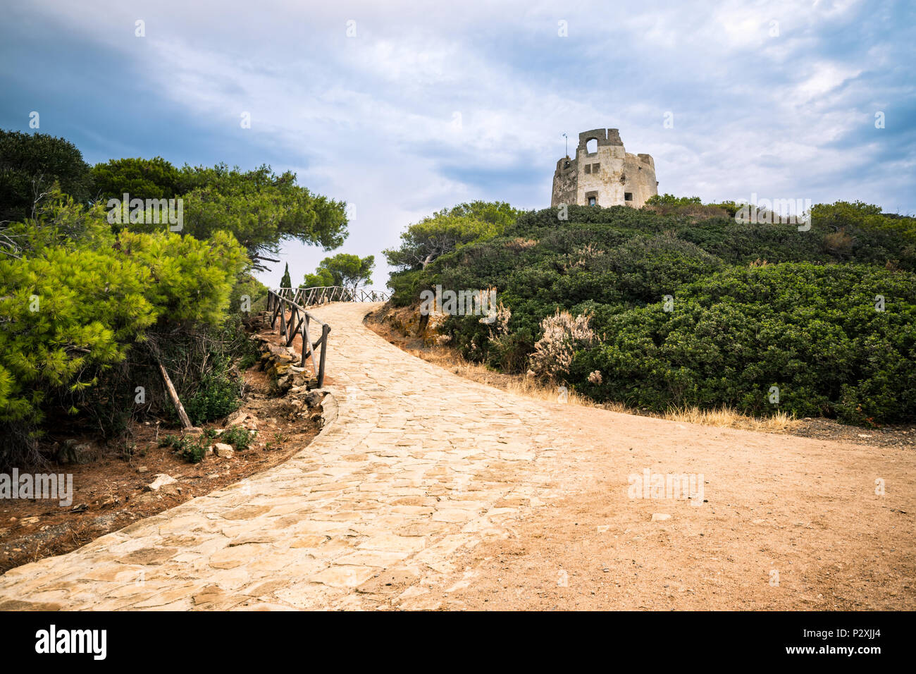 Typical Mediterranean vegetation composed of bushes and shrubs between ...