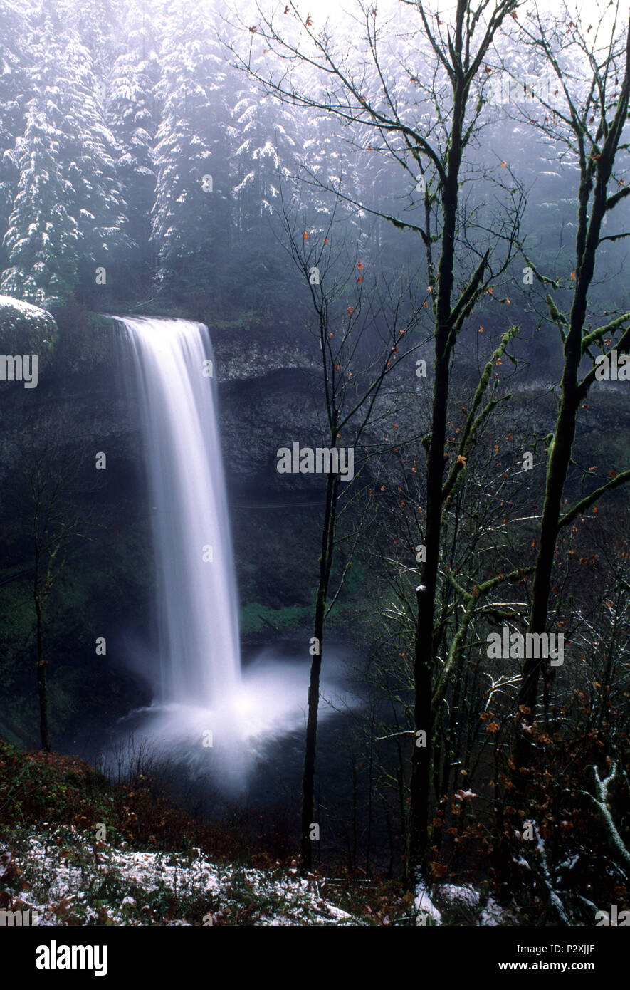 South Falls, Silver Falls State Park, Oregon Stock Photo - Alamy
