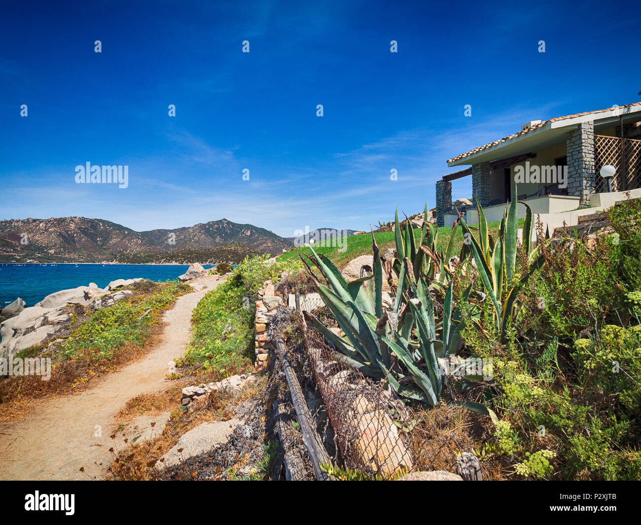 Typical Mediterranean vegetation composed of bushes and shrubs between ...