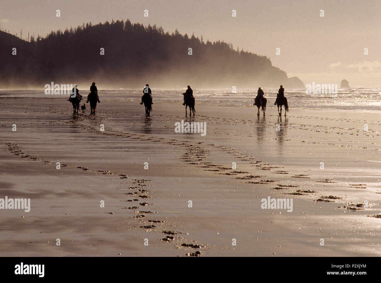 Horseback riders on beach, Bayocean Peninsula, Oregon Stock Photo - Alamy