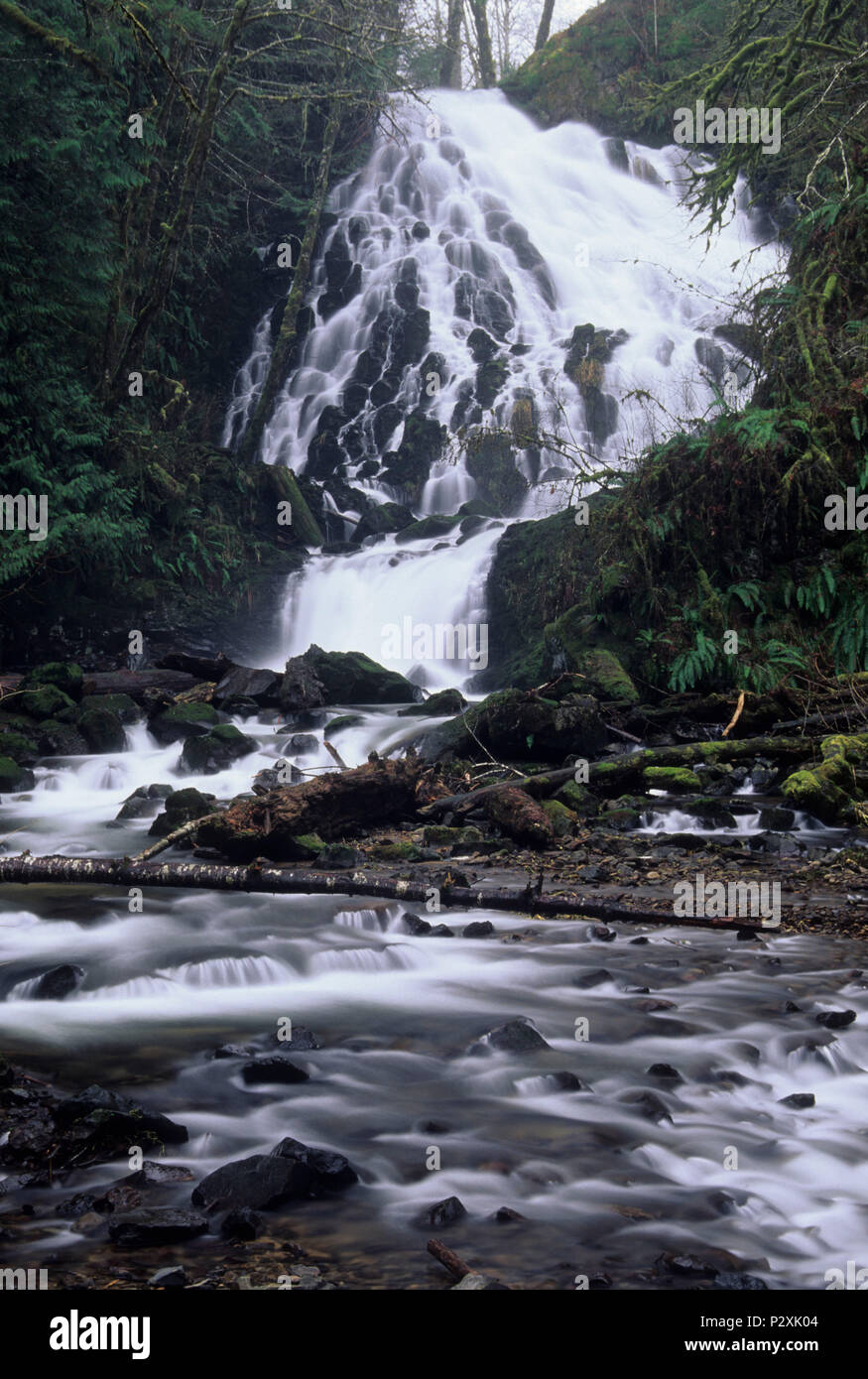 Fishhawk Falls, Lee Wooden Park, Oregon Stock Photo - Alamy
