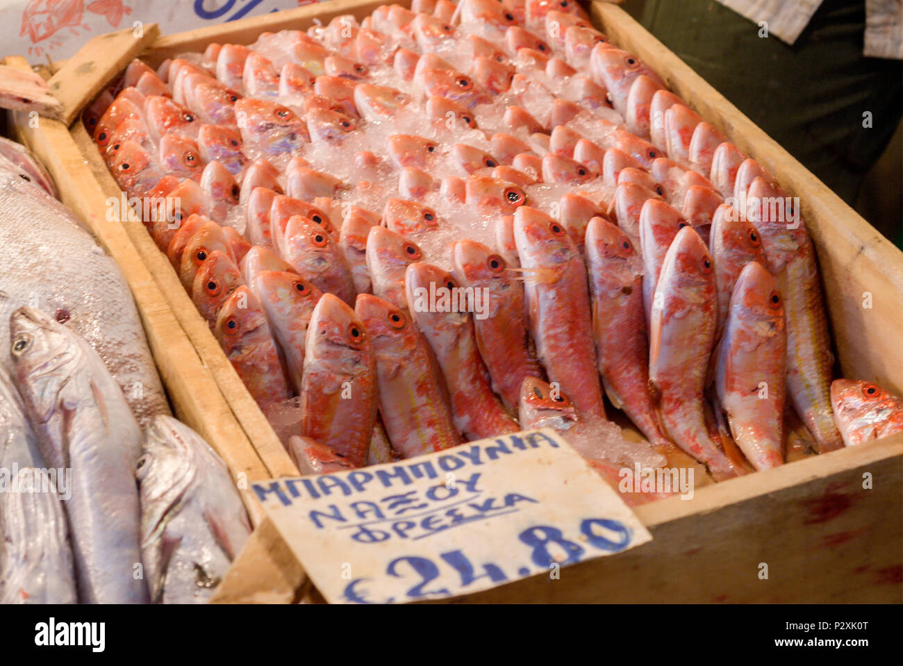 Greece, Athens, very fresh fish at Varvakeios market Stock Photo - Alamy