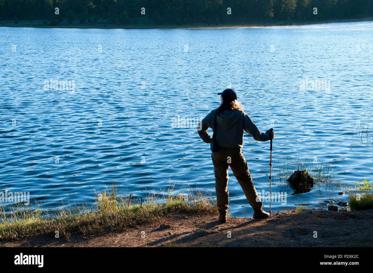 Delintment hi-res stock photography and images - Alamy