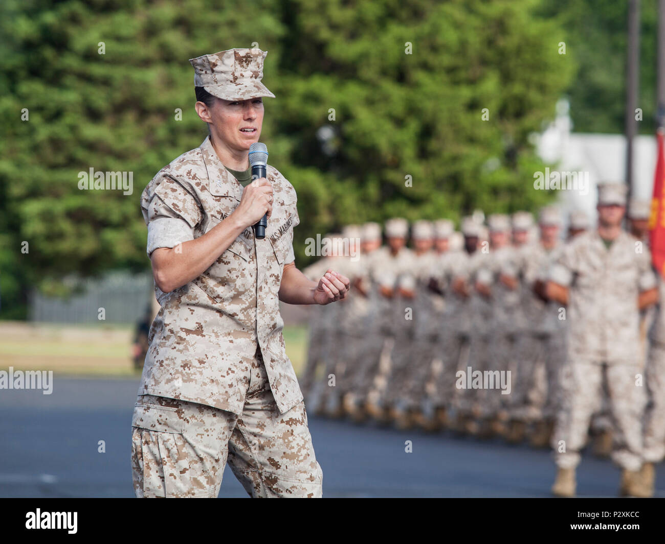 U.S. Marine Corps Col. Julie L. Nethercot, commanding officer of ...