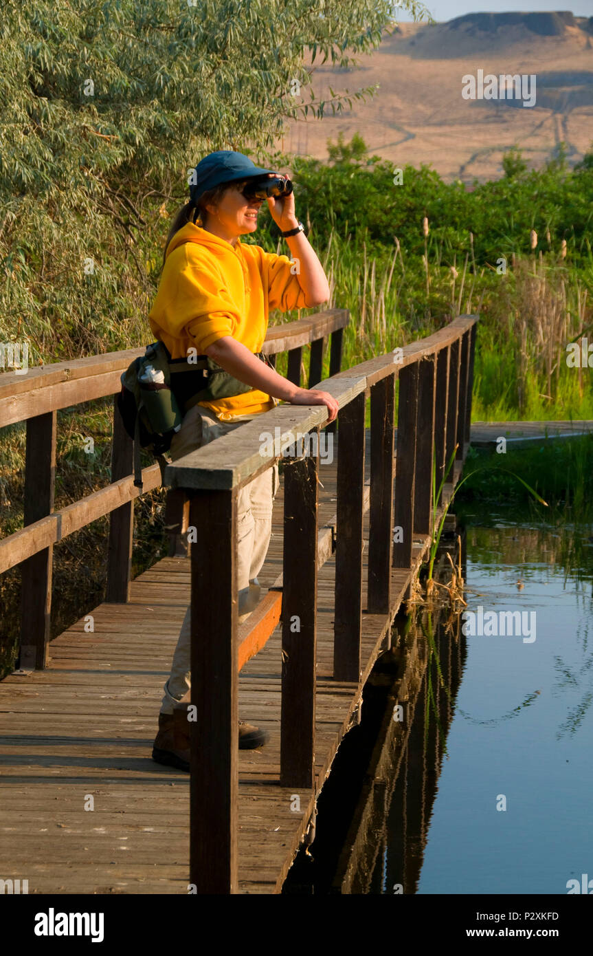 Birding on Nature Trail boardwalk, McNary Wildlife Nature Area, Lewis ...